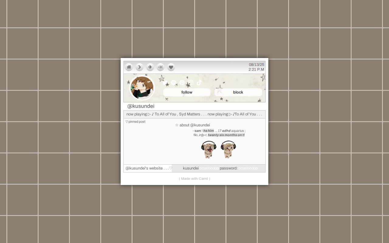 my chronically online page